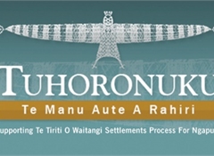 91% of Ngapuhi consider treaty settlement, unity i